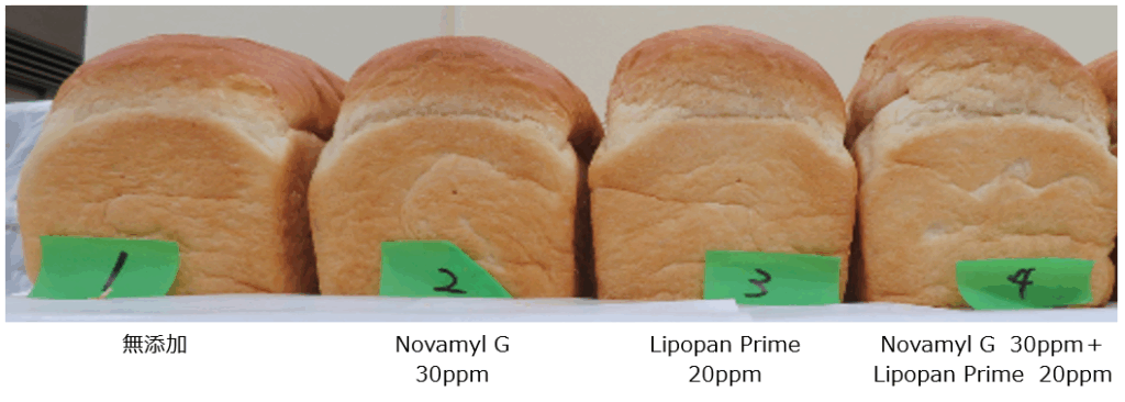 【リパーゼ】製パンの物性改良・食感改善 ｜ 研究開発サイト｜Bフードサイエンス株式会社